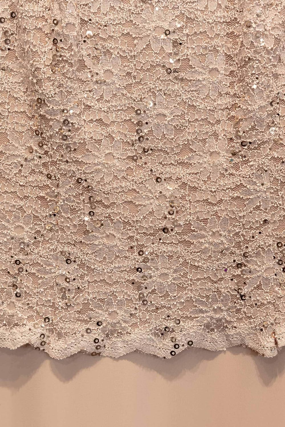 Alex Evenings Women’s Plus Size Stretch Lace Bodice Mock One Piece Gown ...